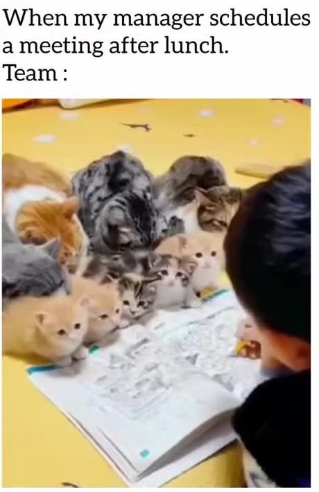 Meeting after lunch - Meme by Illrandom :) Memedroid