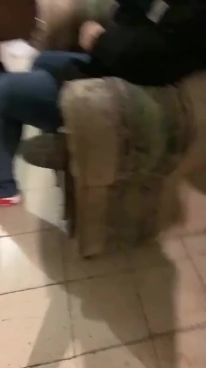 Testing doggo jumping skills - Meme by shamputurner :) Memedroid