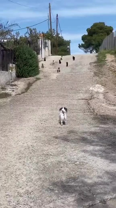 Asegurado - Meme subido por juanitotesodomiza3 :) Memedroid