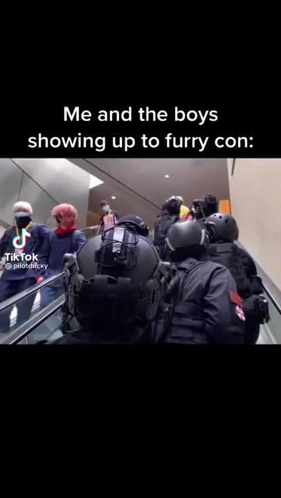 operation: anti-furry - Meme by thememerboy :) Memedroid