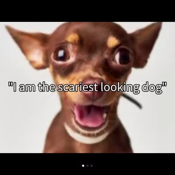 Scary dogs - Meme by Bombarolo :) Memedroid