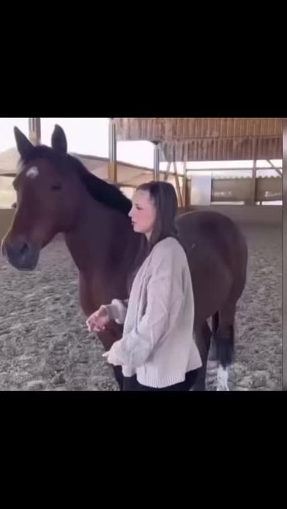 Horse mind control - Meme by gxldnqx :) Memedroid