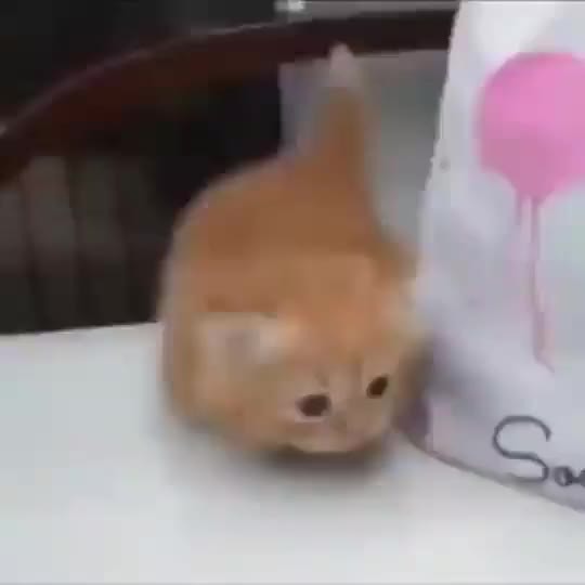 Kat. - Meme subido por Lt.David :) Memedroid