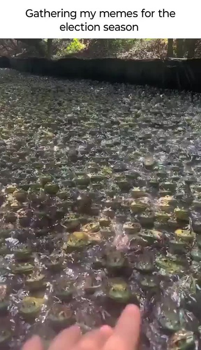 Gathering my memes for the 2024 elections - Meme by LEWIS55 :) Memedroid