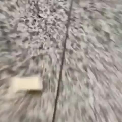 Spinning bee - Meme by FortniteDefaultDance :) Memedroid