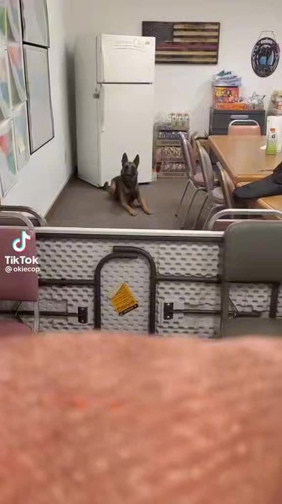 Target locked - Meme subido por MasonPatriarch :) Memedroid