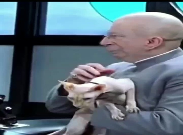 Mini - Meme by Jimz :) Memedroid