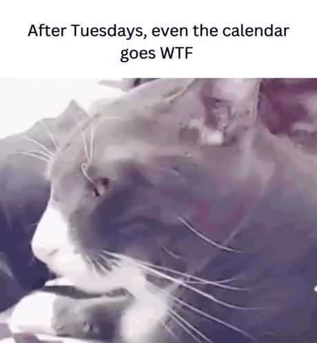 After Tuesdays - Meme by CrispOfBaa :) Memedroid