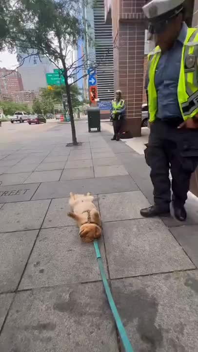 No loitering - Meme by schizoidman :) Memedroid