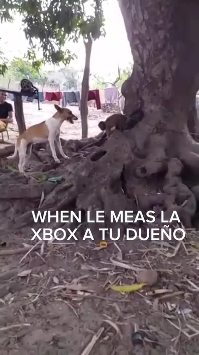 Xbox - Meme by TuViejaPro700 :) Memedroid