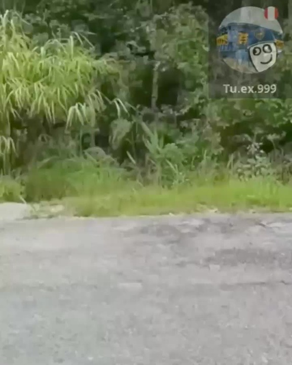 Inserta Tu Título: - Meme subido por Tu.ex.999 :) Memedroid Inserta Tu Título: - Meme subido por Tu.ex.999 :) Memedroid