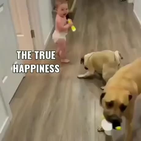 This baby amuses himself by seeing dog going after the light spot ...