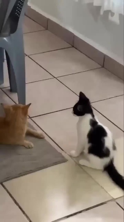 Nevermind - Meme by maynebrayne :) Memedroid