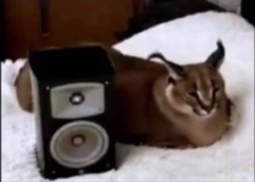 Nashe - Meme subido por ItzRolex :) Memedroid