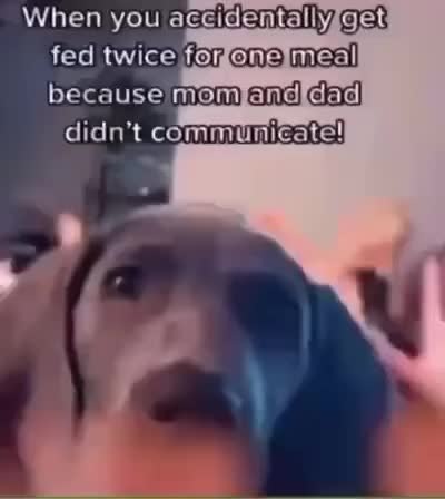 Double prize - Meme by FuzzyGrim :) Memedroid