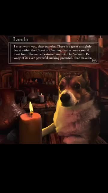 The vacuum is not just a tool. It's a cursed soul sucker - Meme by ...