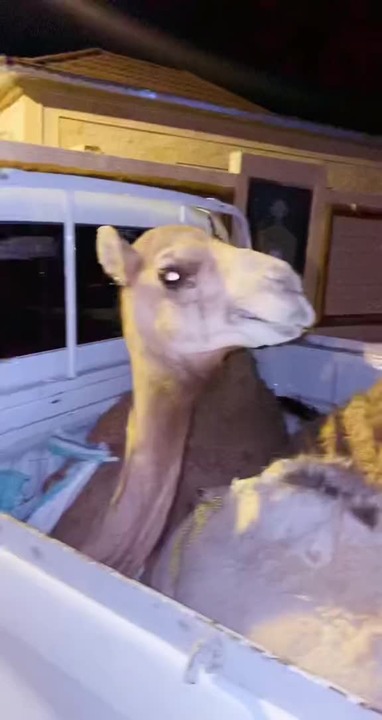 Camate pofavo - Meme subido por Kaleno87 :) Memedroid