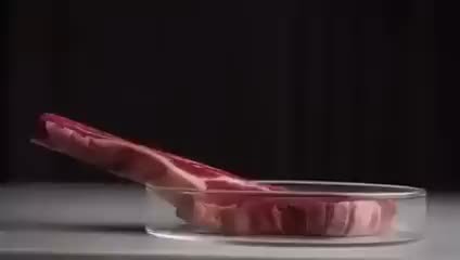 gato comiendo carne - Meme subido por Rpy._ :) Memedroid