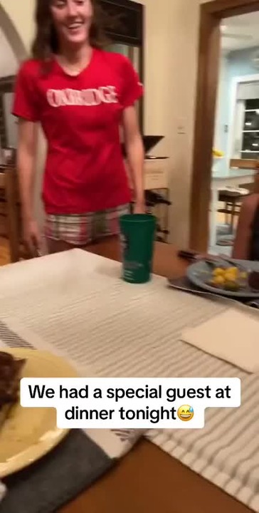 Special guest - Meme by Knot_daddy :) Memedroid