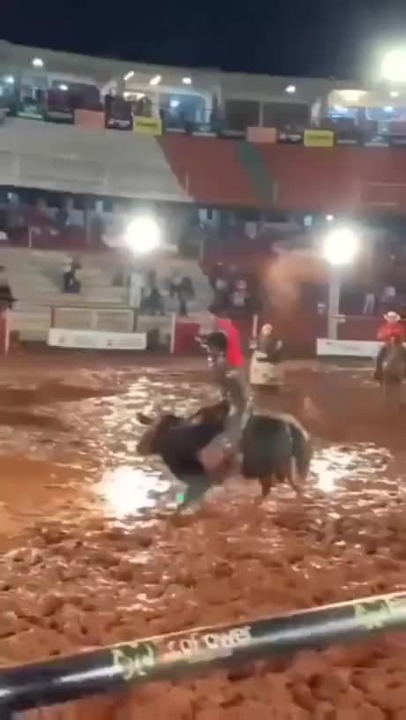 Vuelve aquí, aún no he terminado contigo! - Meme subido por MMD_Fun ...