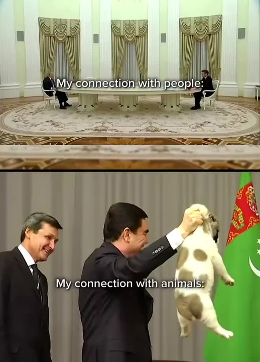 Personality - Meme by Mr.Gimli :) Memedroid