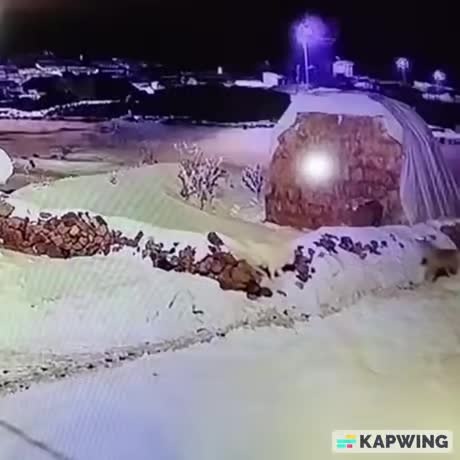 Dog defending his home from a pack of dogs - Meme by MemeTheVersed ...