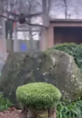 Buho - Meme subido por eduardo_mdo :) Memedroid